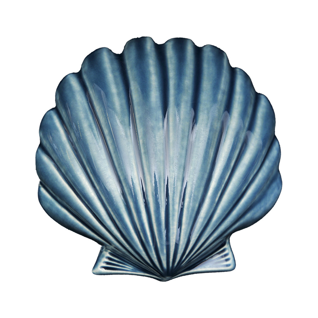 Steiner Ceramics - Ceramic Scallop – The White Room Gallery